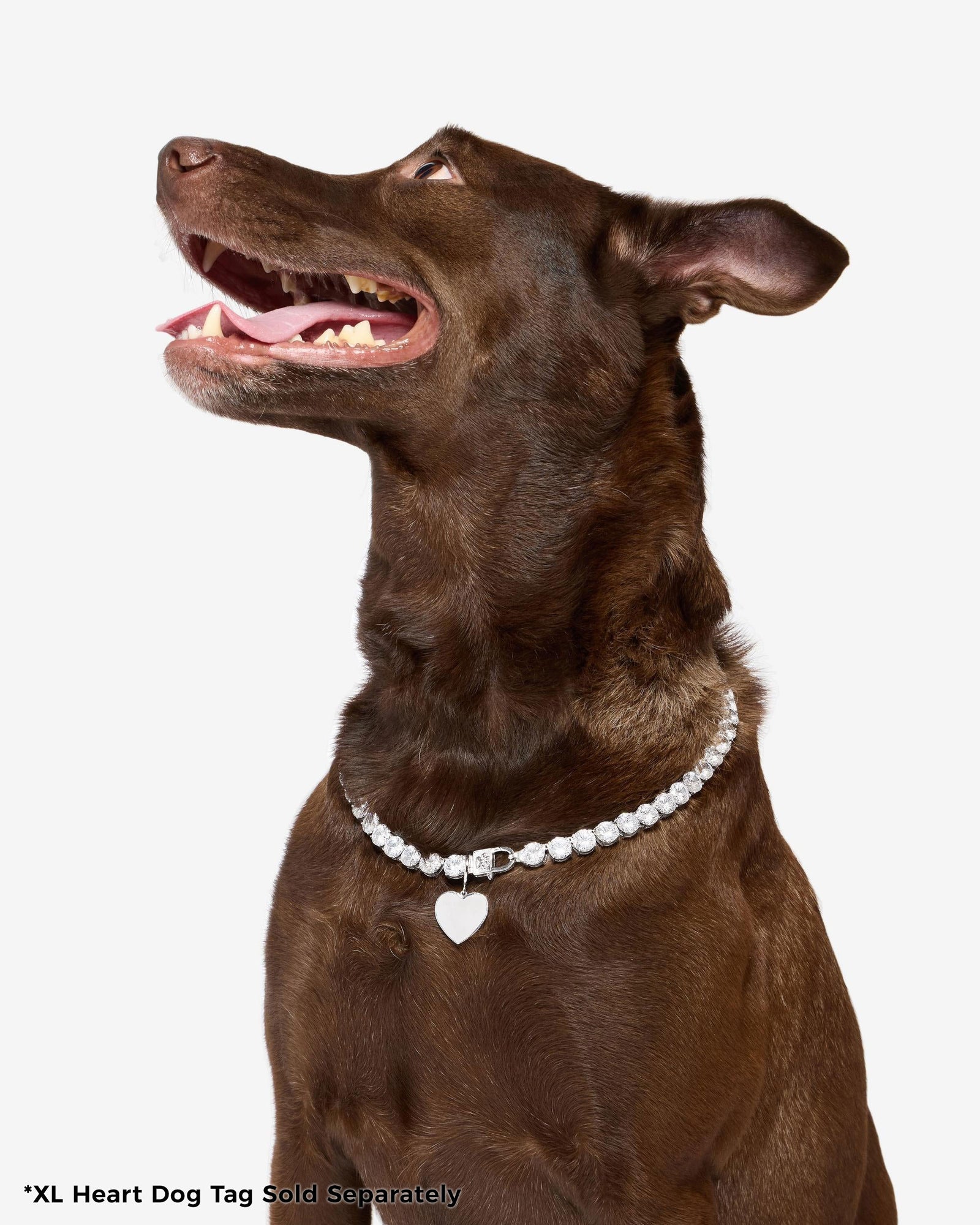 XL Heart Engravable Dog Tag - Silver Pet Charm – Melinda Maria Jewelry