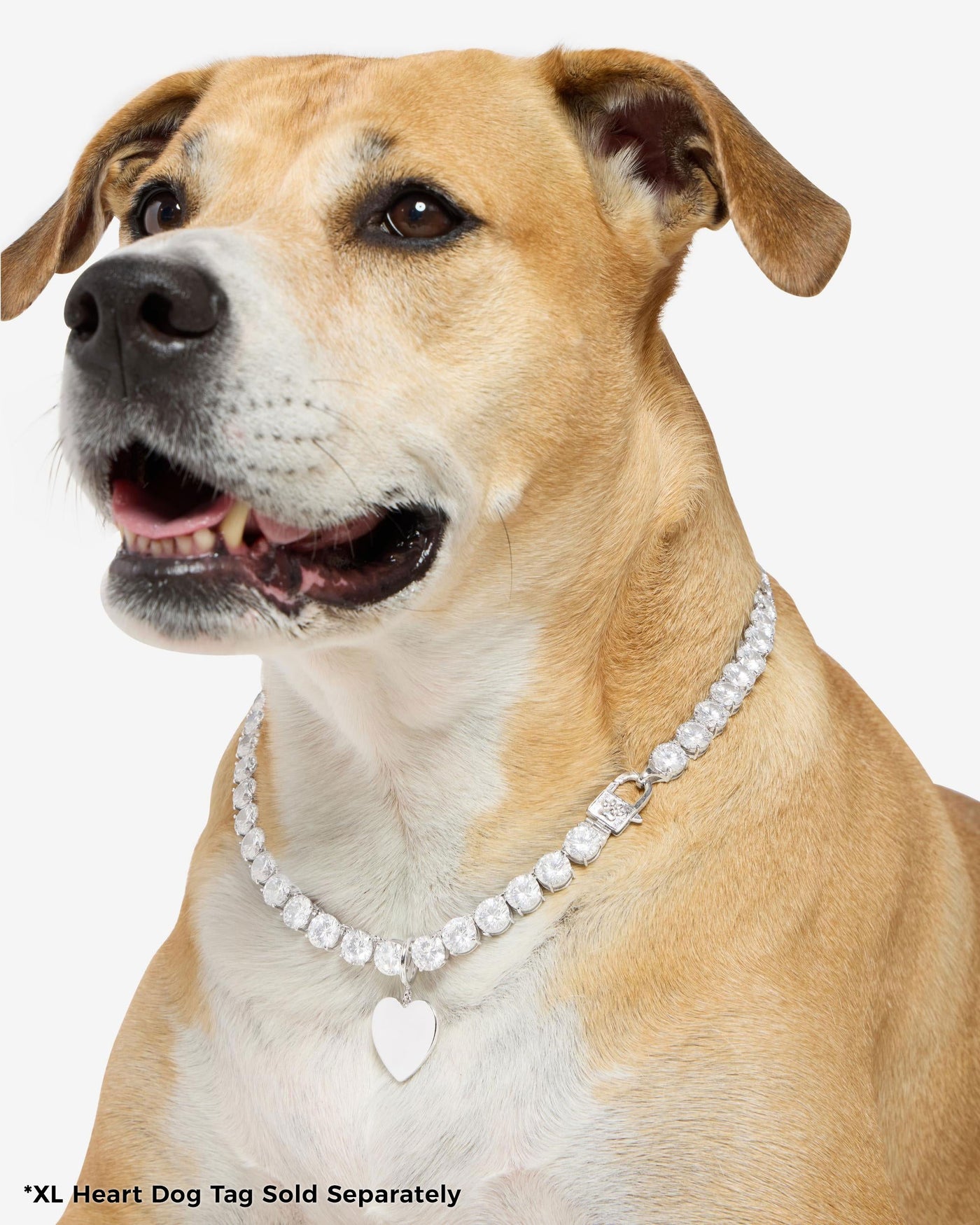 XL Heart Engravable Dog Tag - Silver